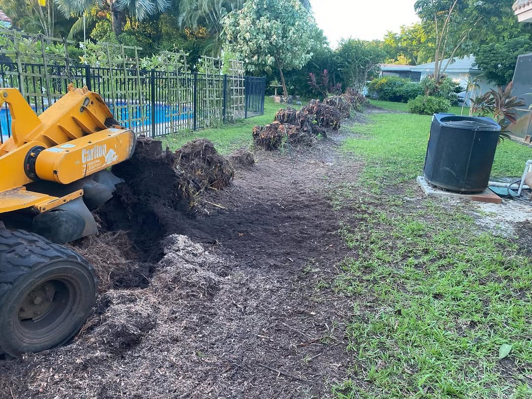 Gallery – Tree Stump Guy